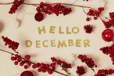 December Edition 2020 - Beautiful + Machine Magazine