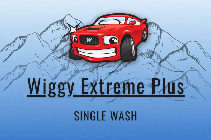 Services - Wiggy Wash