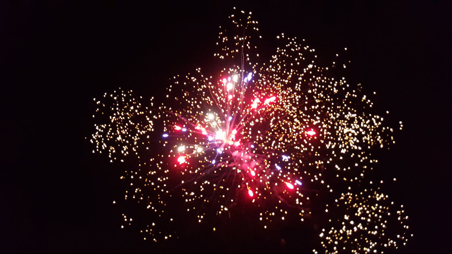 Home | Fireworks for Parties | Online Firework Shop | Miami, Florida ...