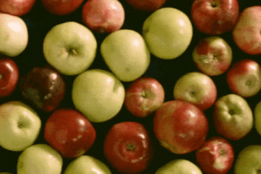 October Edition 2022 - Beautiful + Machine Magazine