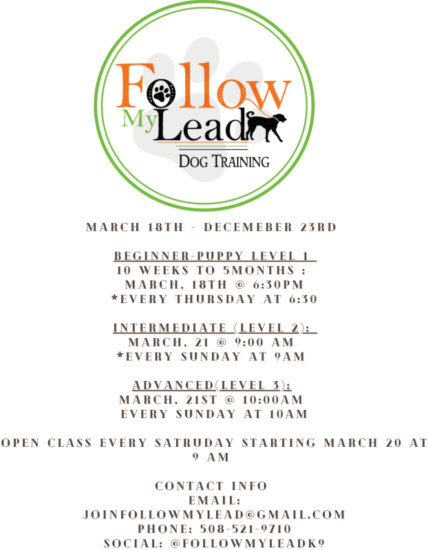 Monthly Events - Follow My Lead Dog Training