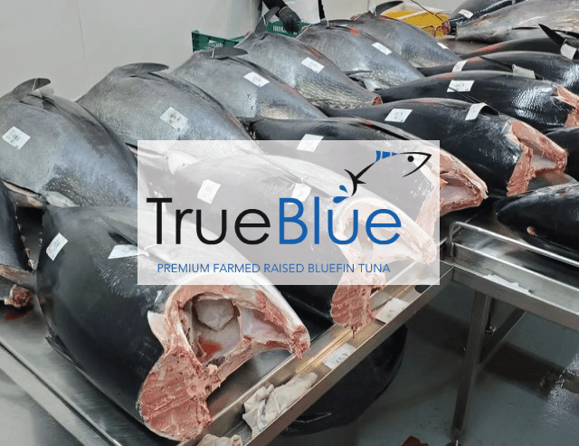 True Blue Tuna - Seas Star Food USA | Hackensack, New Jersey 07601