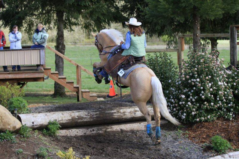 Home - Bolender Horse Park