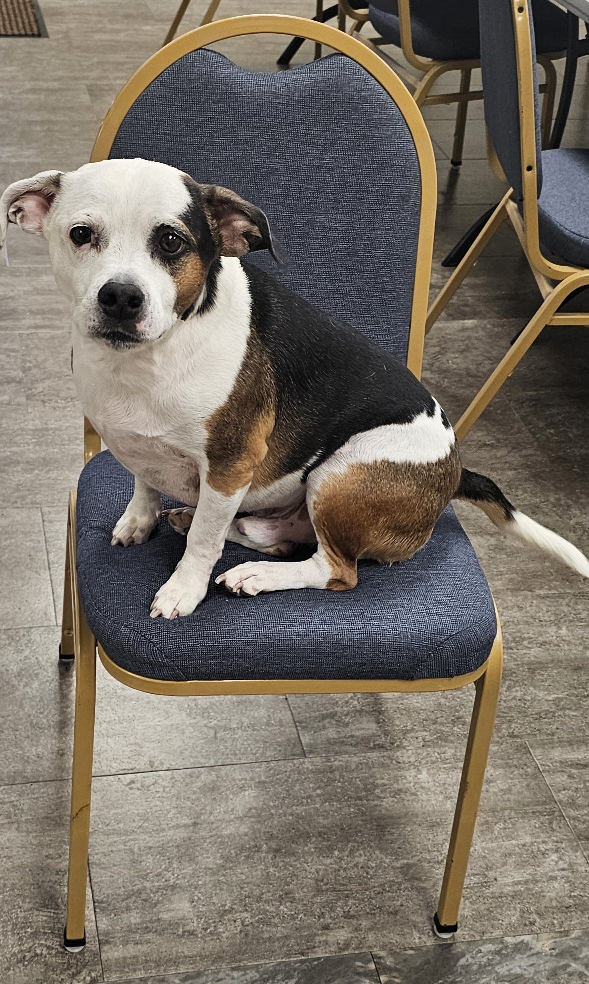 Local 785 Officers - LIUNA Local 785