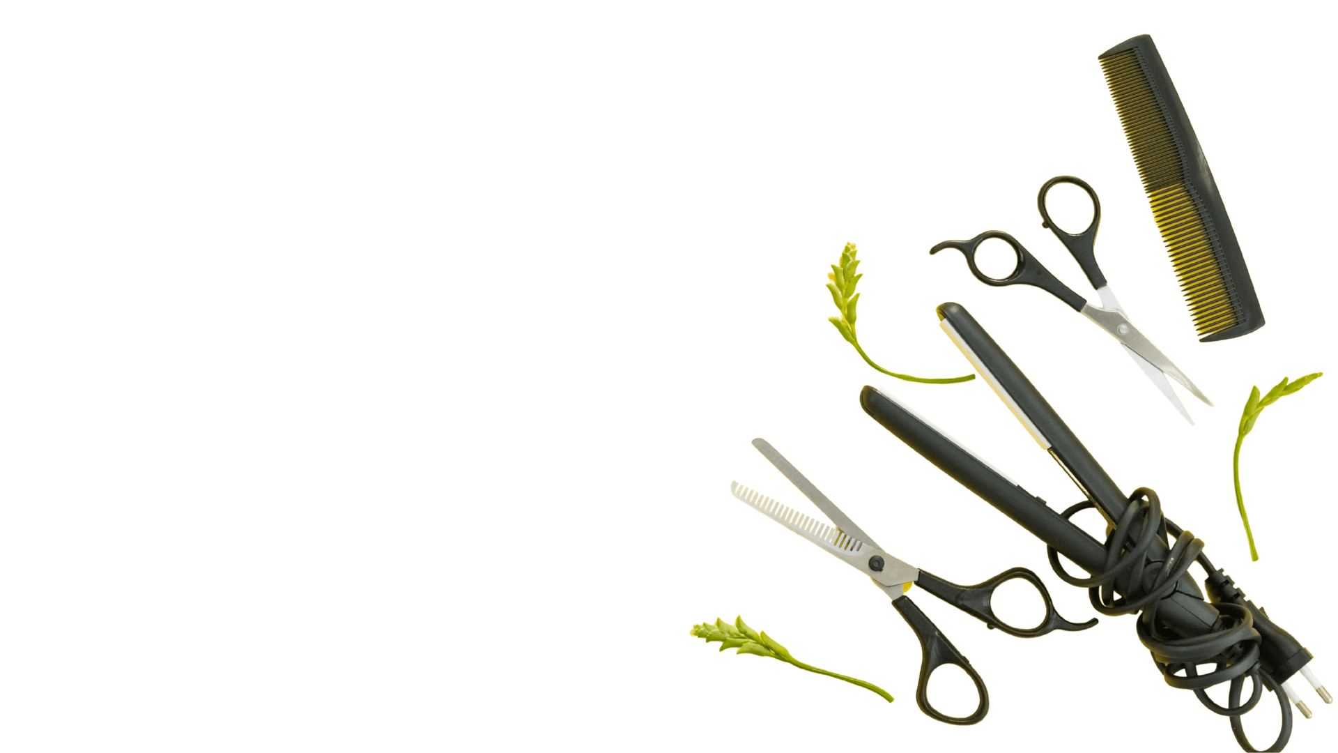 Most Luxurious Beauty Salon and Barber Shop in Pembroke - Frenzy Salon