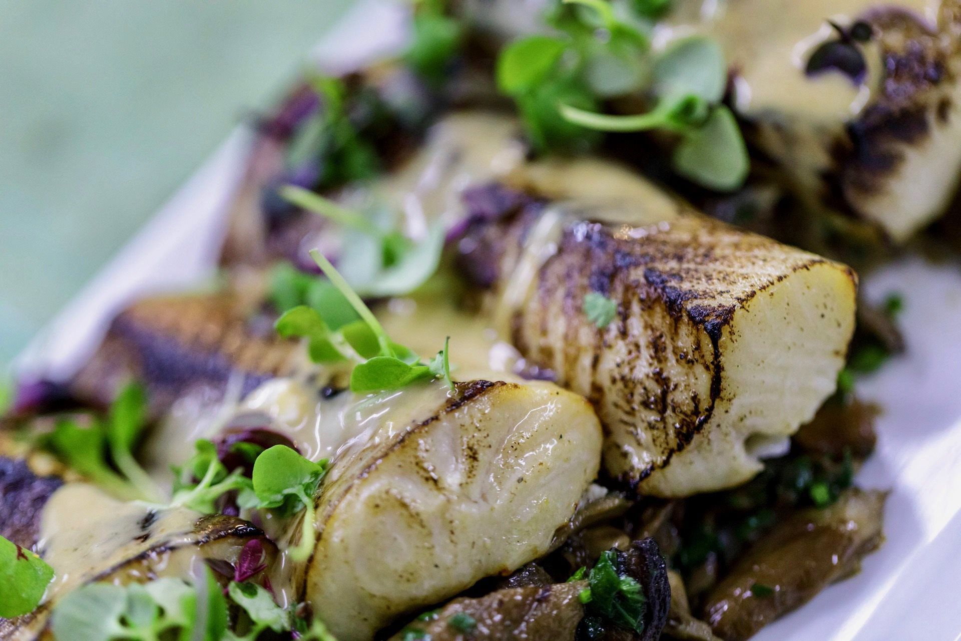 Kosher Food And Catering - FoodHeart