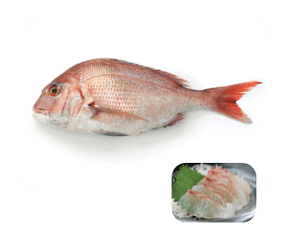 FreshSeafoodProducts - Seas Star Food USA | Hackensack, New Jersey 07601