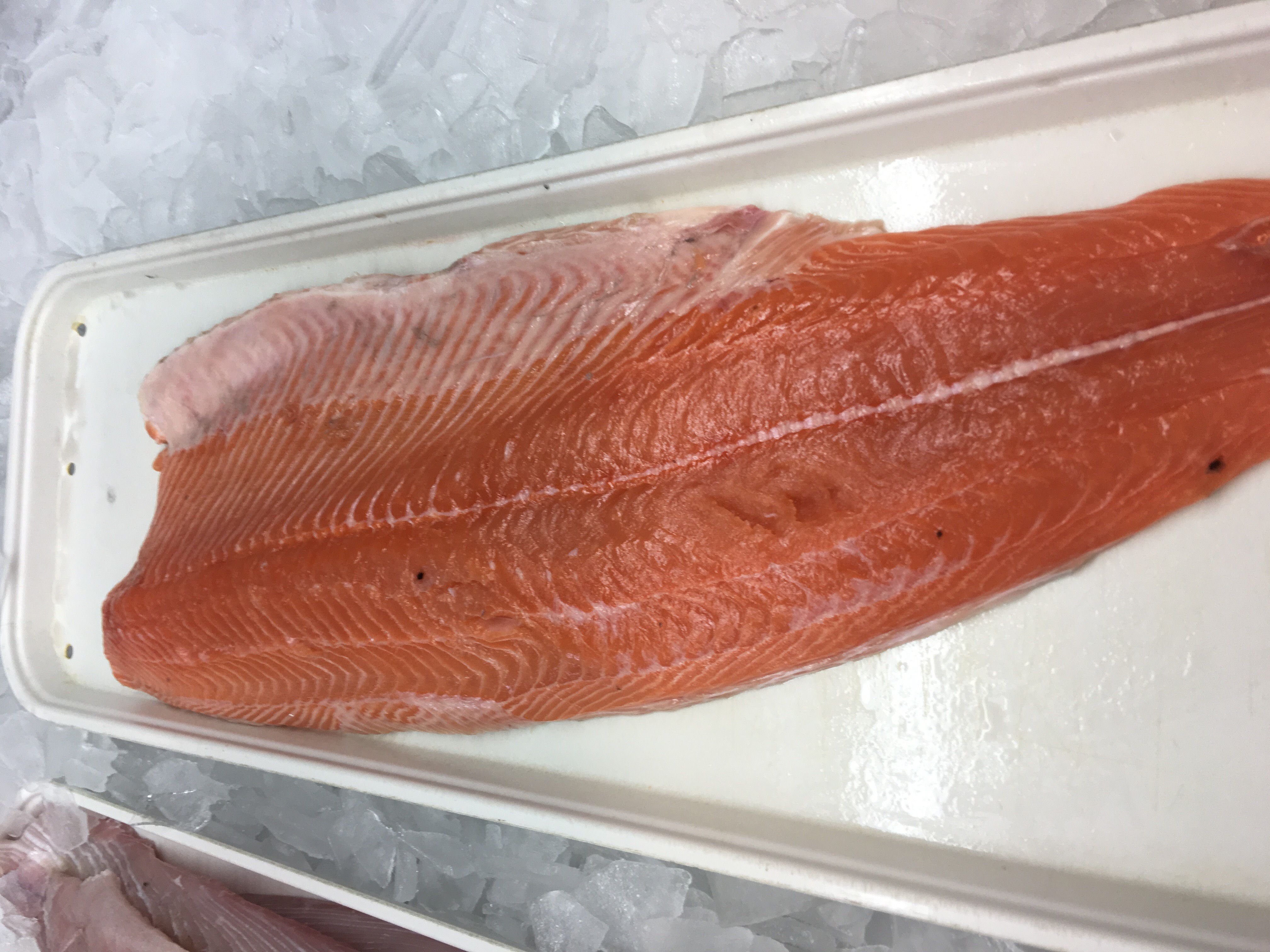 Store - Item Profile - Martin Fish Co. LLC | Ocean City, Maryland 21842