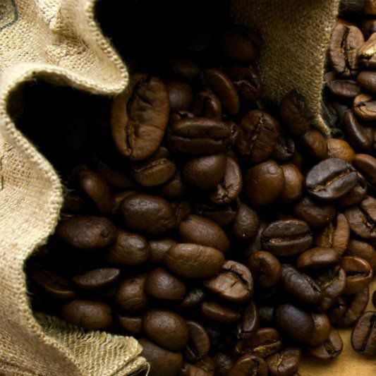 Arabica Beans Coffee - Devil Dog Brew