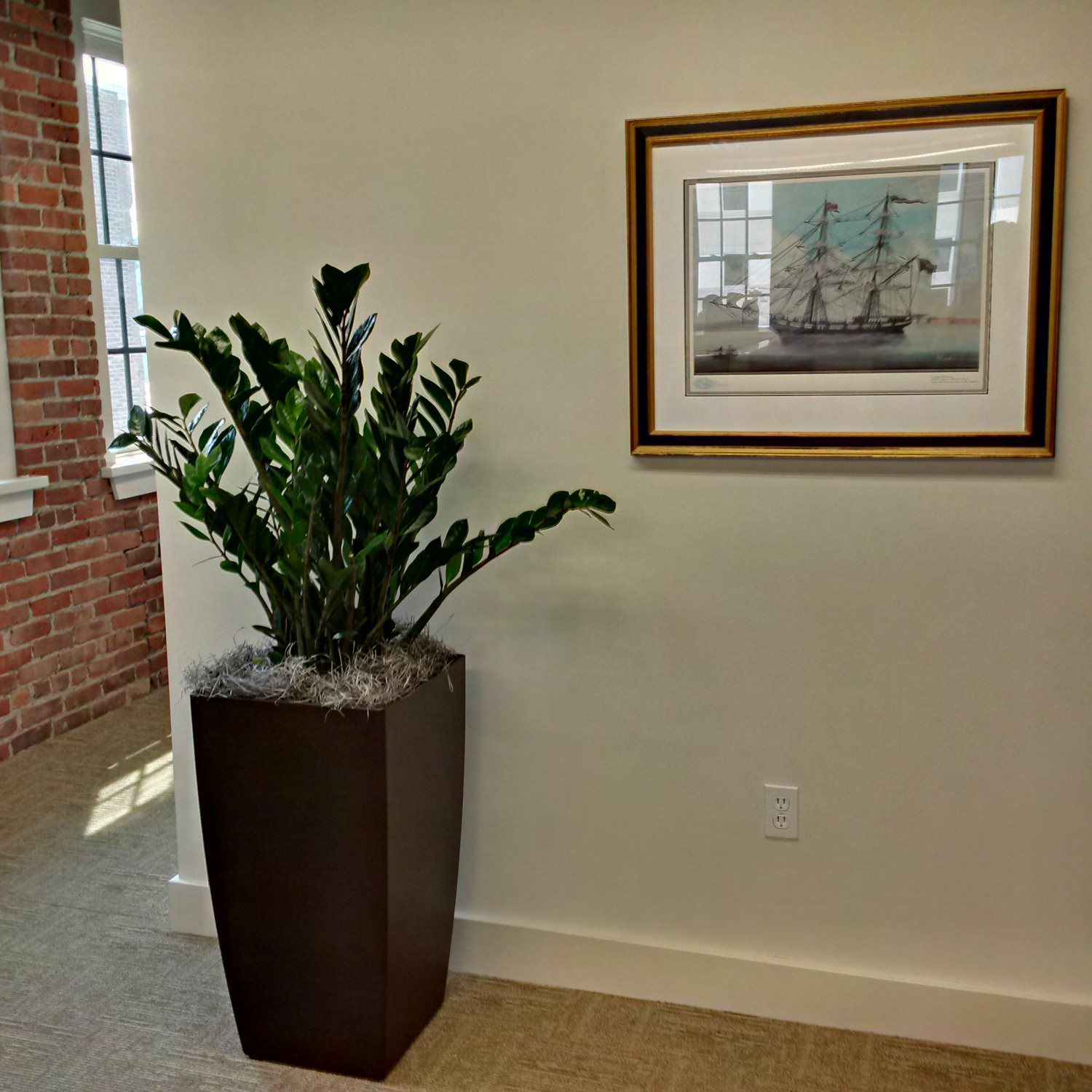 Home - Corporate Plant Design