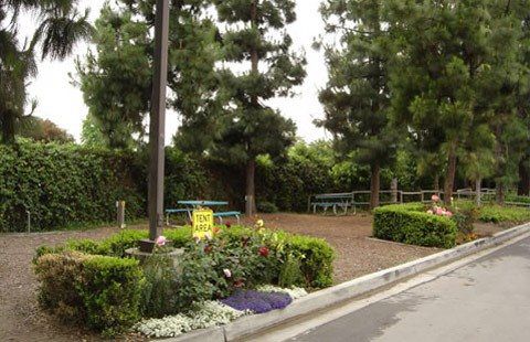 Photos And Videos - Fairplex RV Park
