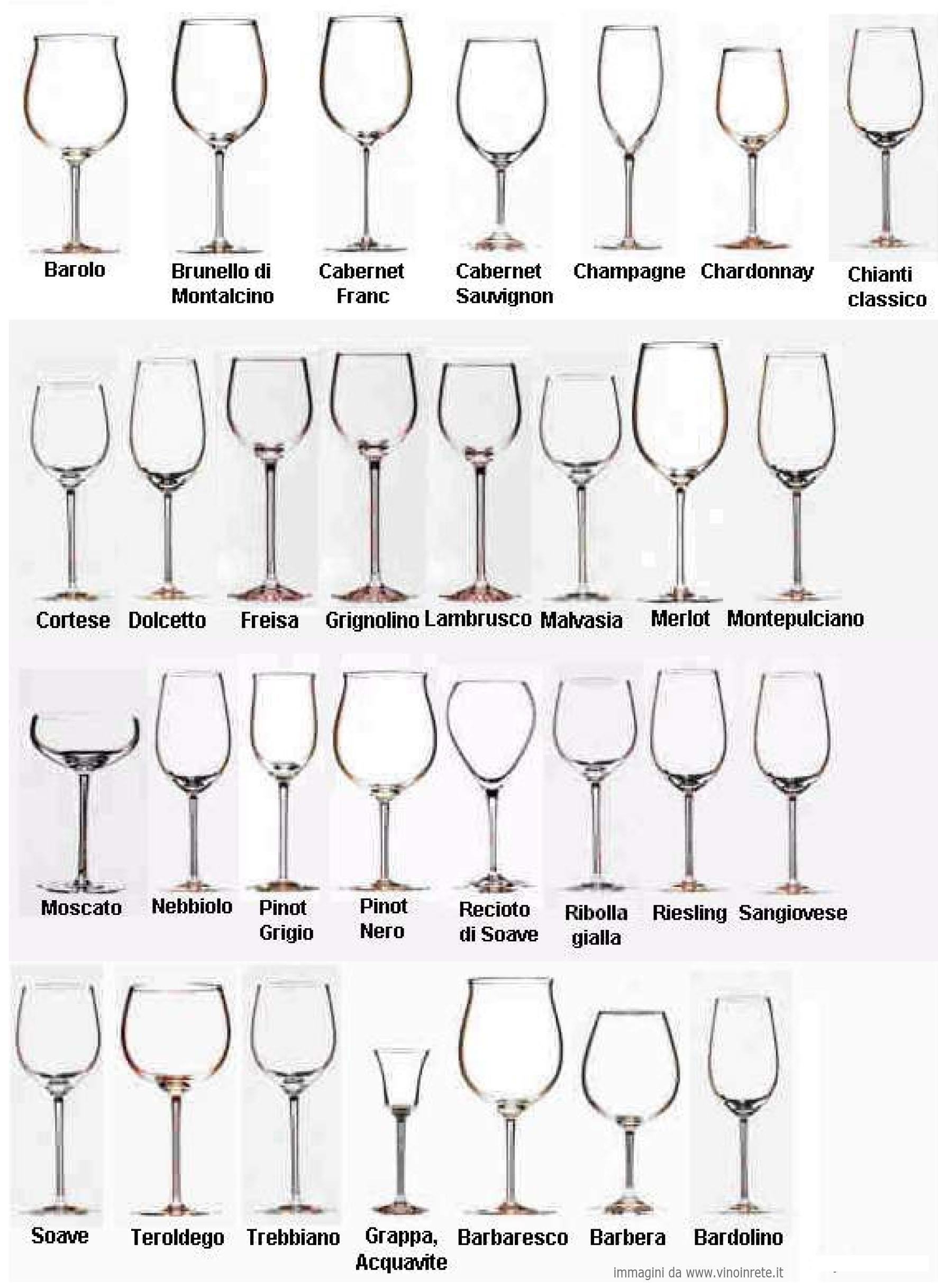 Types Of Wine Glasses Offmilo