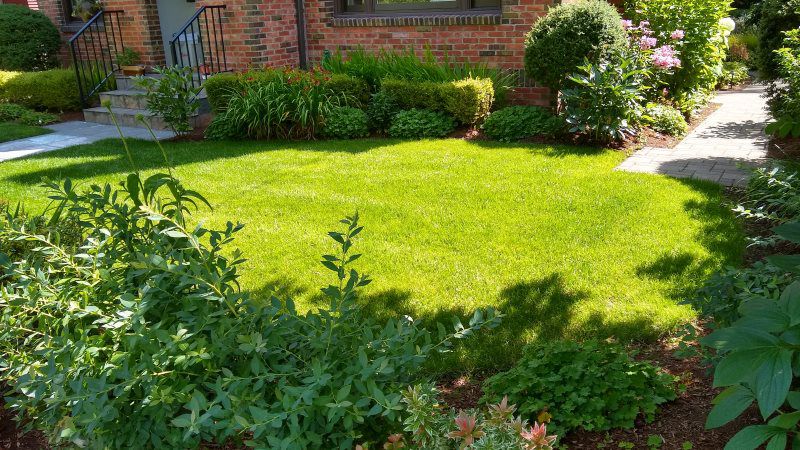 Home - Earthdance Organics LLC