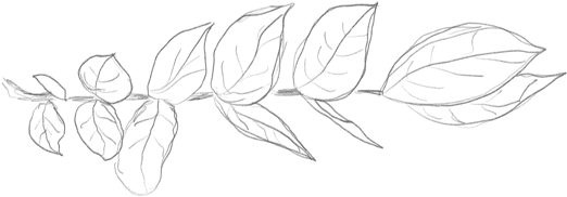 Clarksville Signs Company Sergio Rod Designs Home Page - Sergio Rod ...